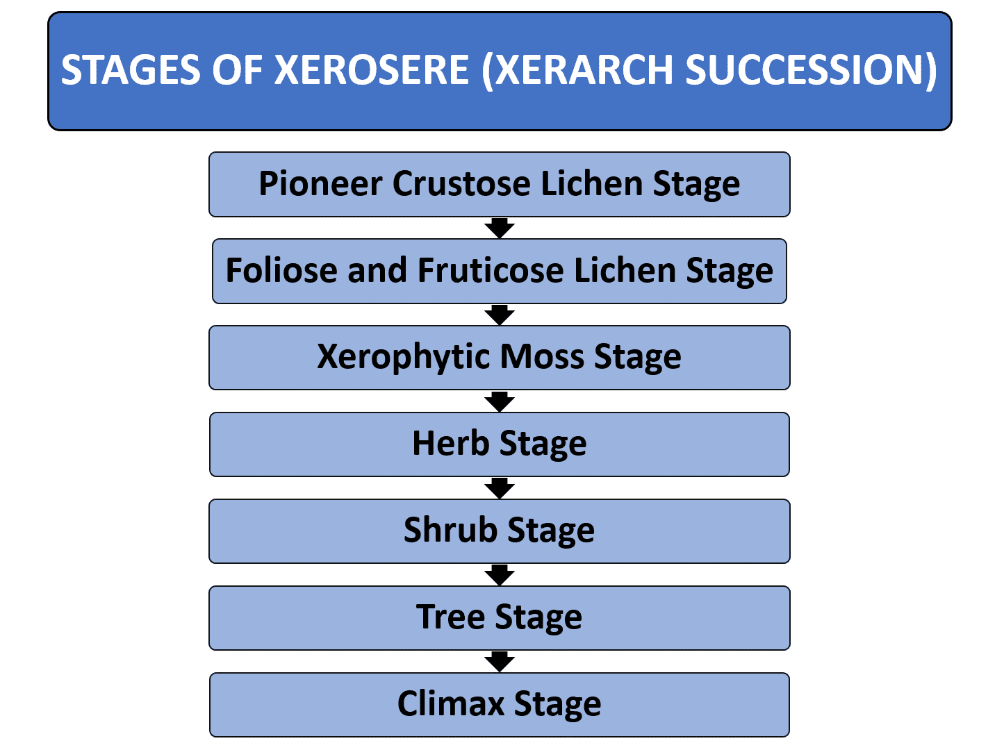 Xerosere And Stages Of Xerosere - BioQuestOnline Stages Of Xerosere