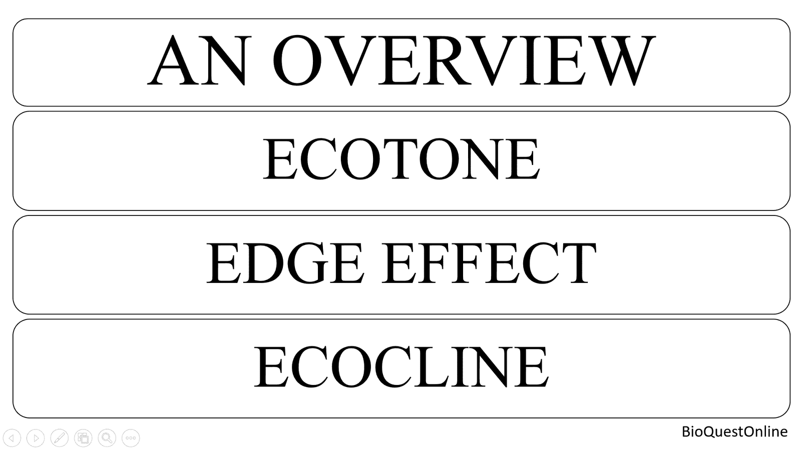Ecotone And Edge Effect - An Overview - BioQuestOnline