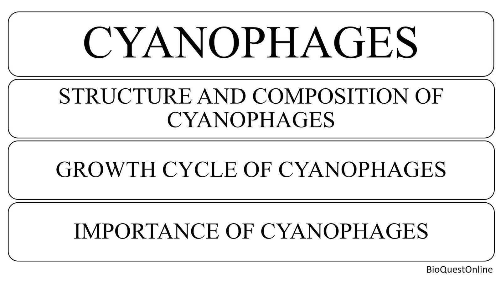 Cyanophages; Structure, Growth Phases And Importance - BioQuestOnline