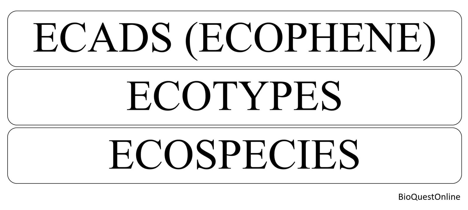 Ecads(Ecophenes), Ecotypes And Ecospecies - BioQuestOnline