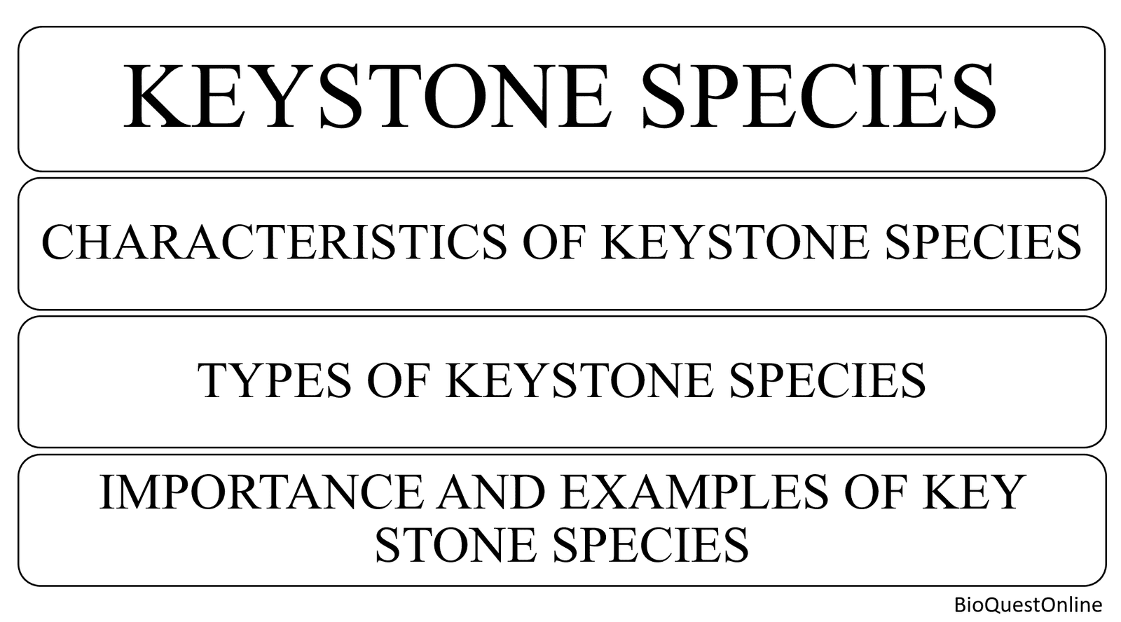 Keystone Species; Types, Importance And Examples - BioQuestOnline